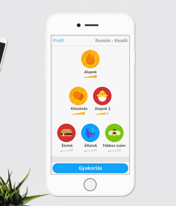 Metodica - startup - domeniul IT